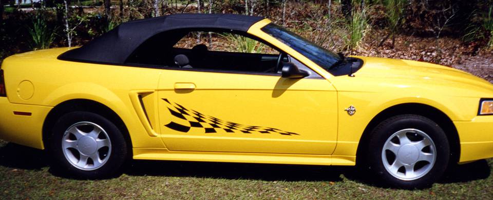 Checker Flag Decal Set 13" x 45" - No Designation | Graphic Express ...