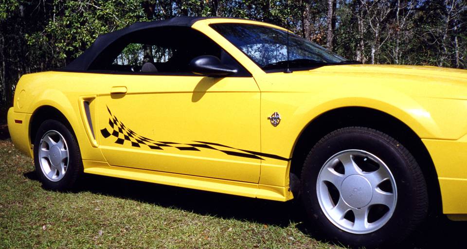 Checker Flag Decal Set 11.5" x 66" - No Designation | Graphic Express ...